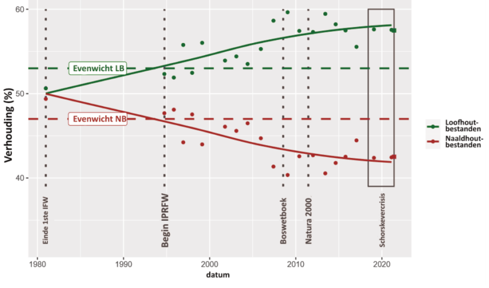 Hoe evolueert het evenwicht tussen loof- en naaldhoutsoorten in Wallonië?
